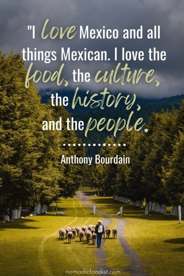 45 BEST Quotes About MEXICO To Inspire Travel - Nomadic Foodist